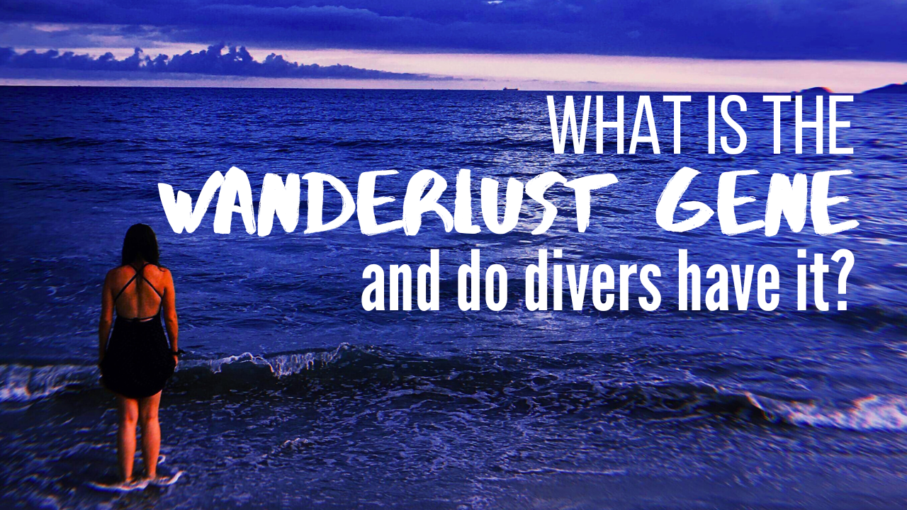 What Is The Wanderlust Gene and Do Divers Have it?